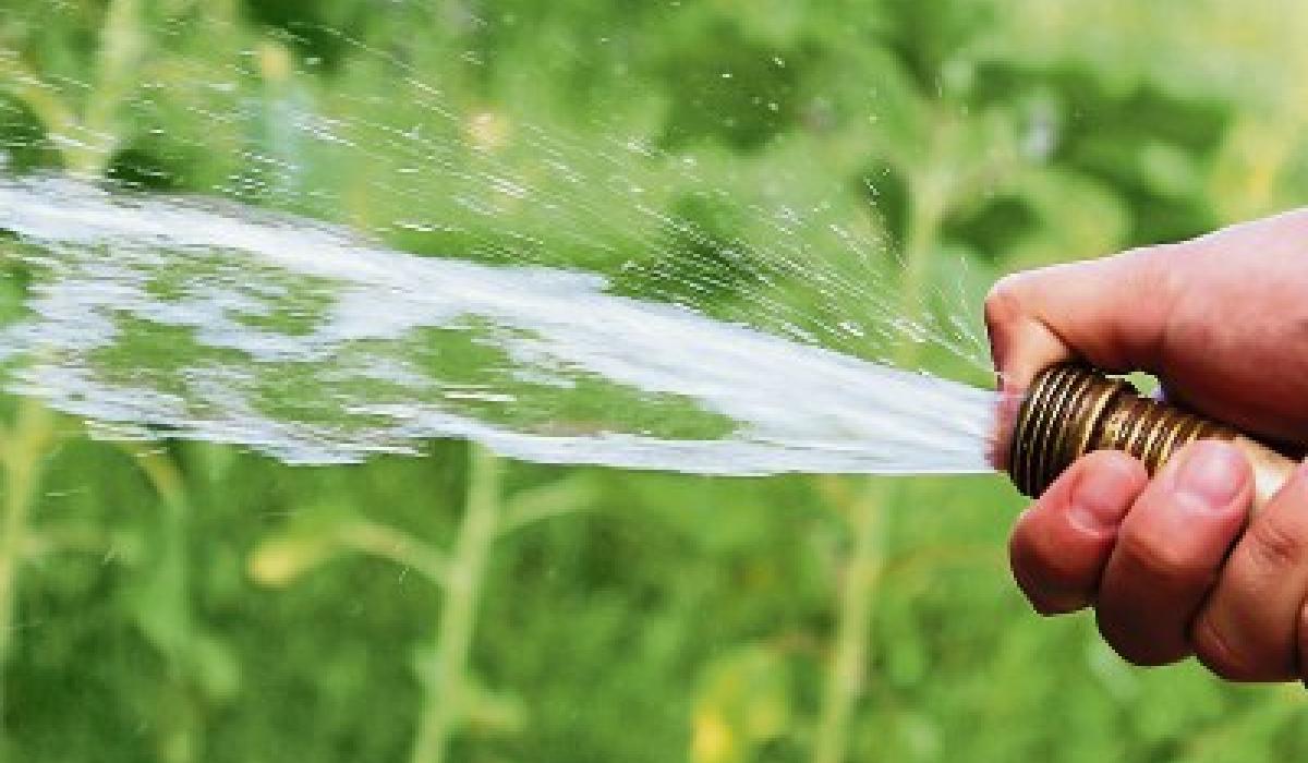 limerick about water