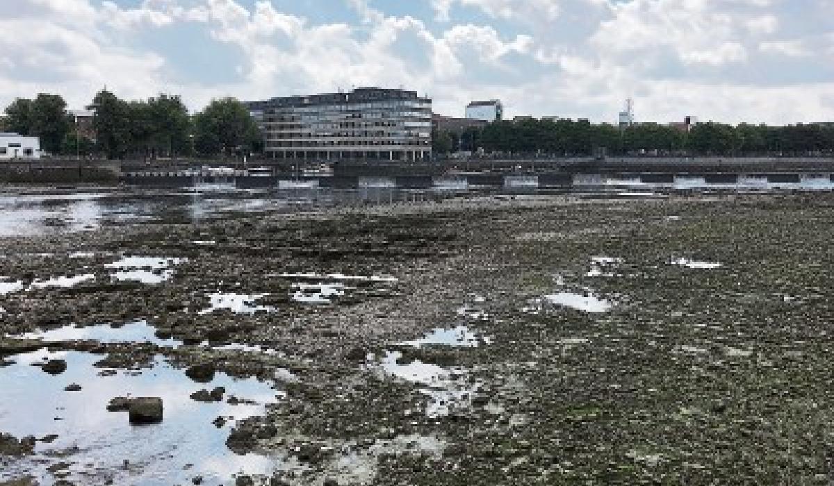 WATCH: Critics say Limerick river flow ‘too low’ for €1.3bn Parteen ...