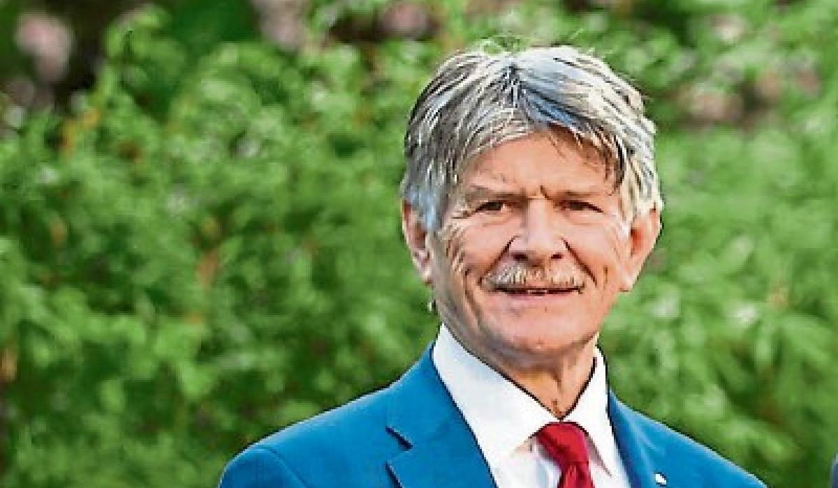 Big Tree's €200k windfall as Limerick fans help publican go out on high ...