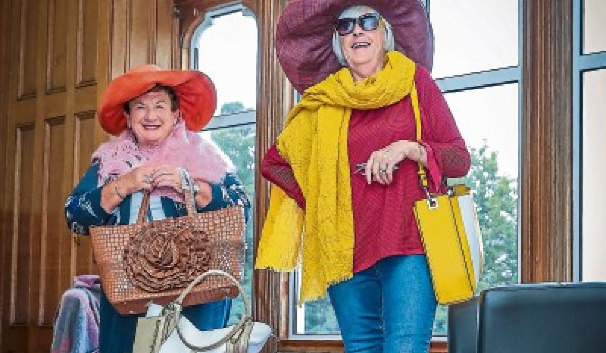 Call out for support for Milford's Harvest Fair in Limerick - Limerick Live