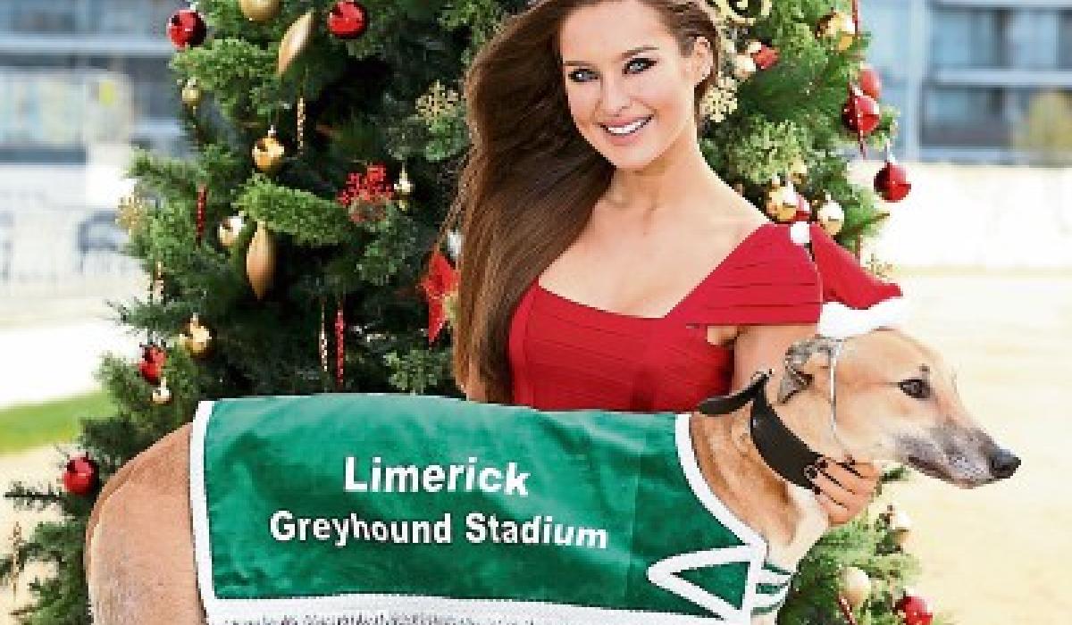 Extra night of racing for busy Christmas period in Limerick Greyhound ...