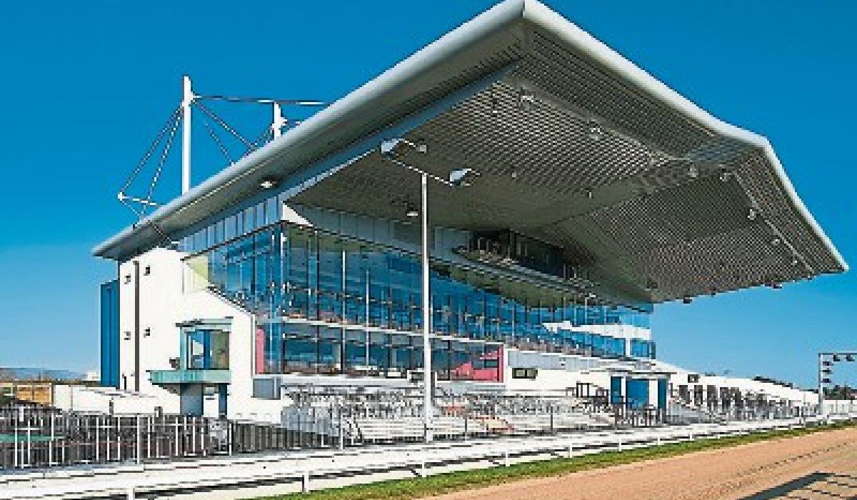 Awards night goes to the dogs at Limerick Greyhound Stadium - Limerick Live