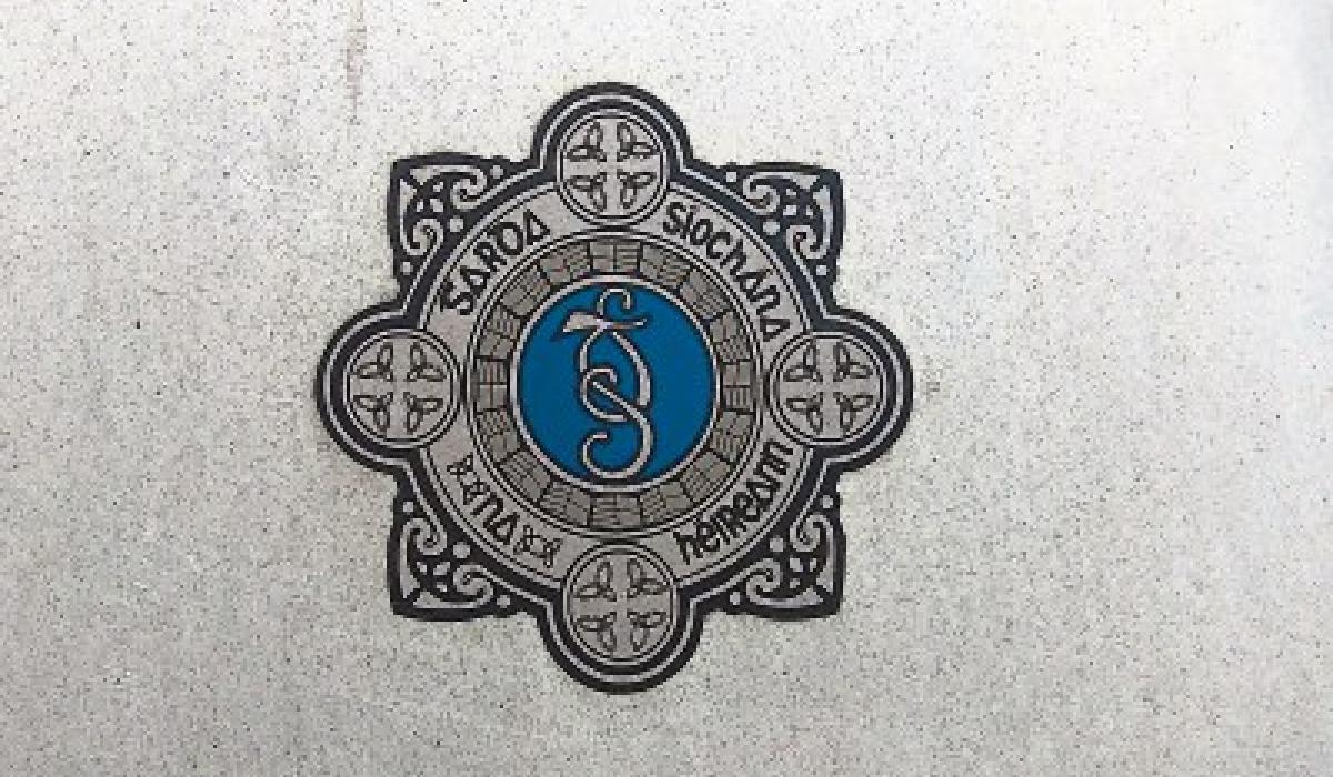 Specialised Protective Services Unit rolled out in Limerick garda ...
