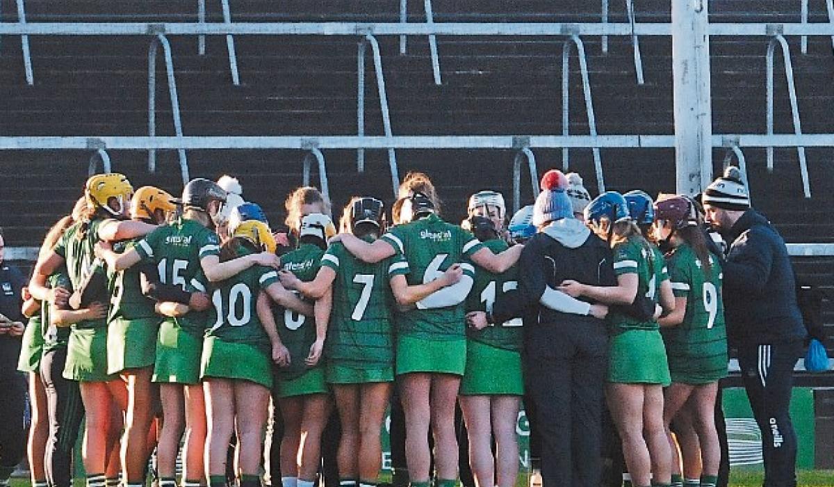 New-look Limerick camogie team to play Westmeath in All-Ireland Senior ...