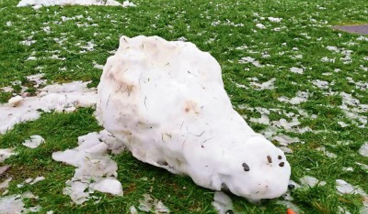 Thaw sets in as snow causes disruption across Limerick - Limerick Live