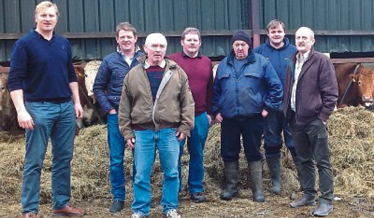 How about Fair Trade for Limerick beef farmers? asks Beef Plan Movement ...