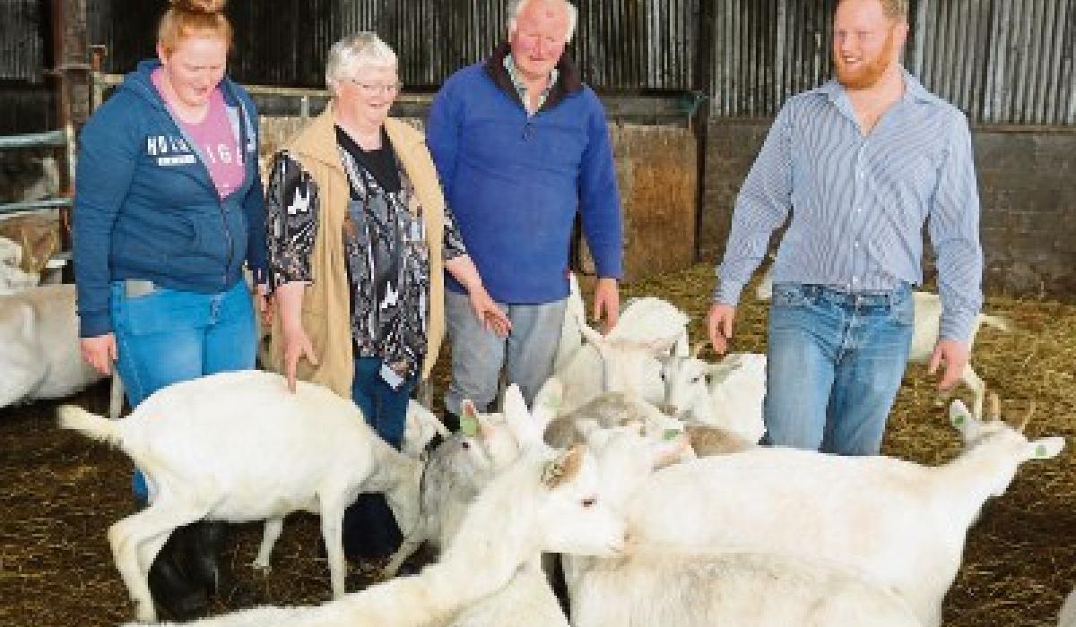 Limerick farm family embarks on new cheesy venture - Limerick Live