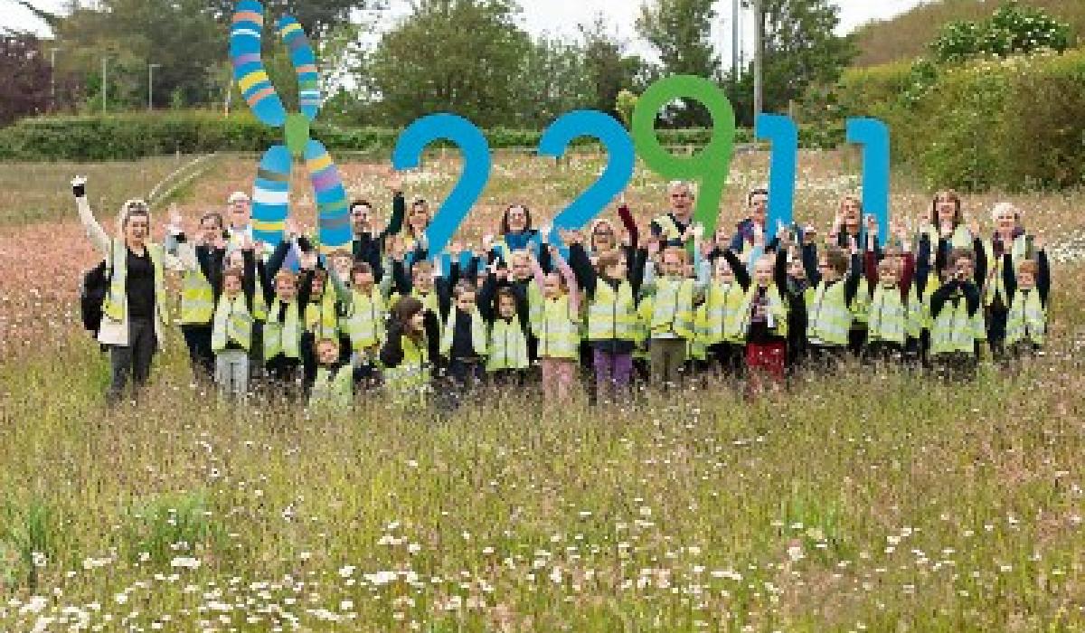 Limerick-based pharma company chooses 22q11 as charity partner ...