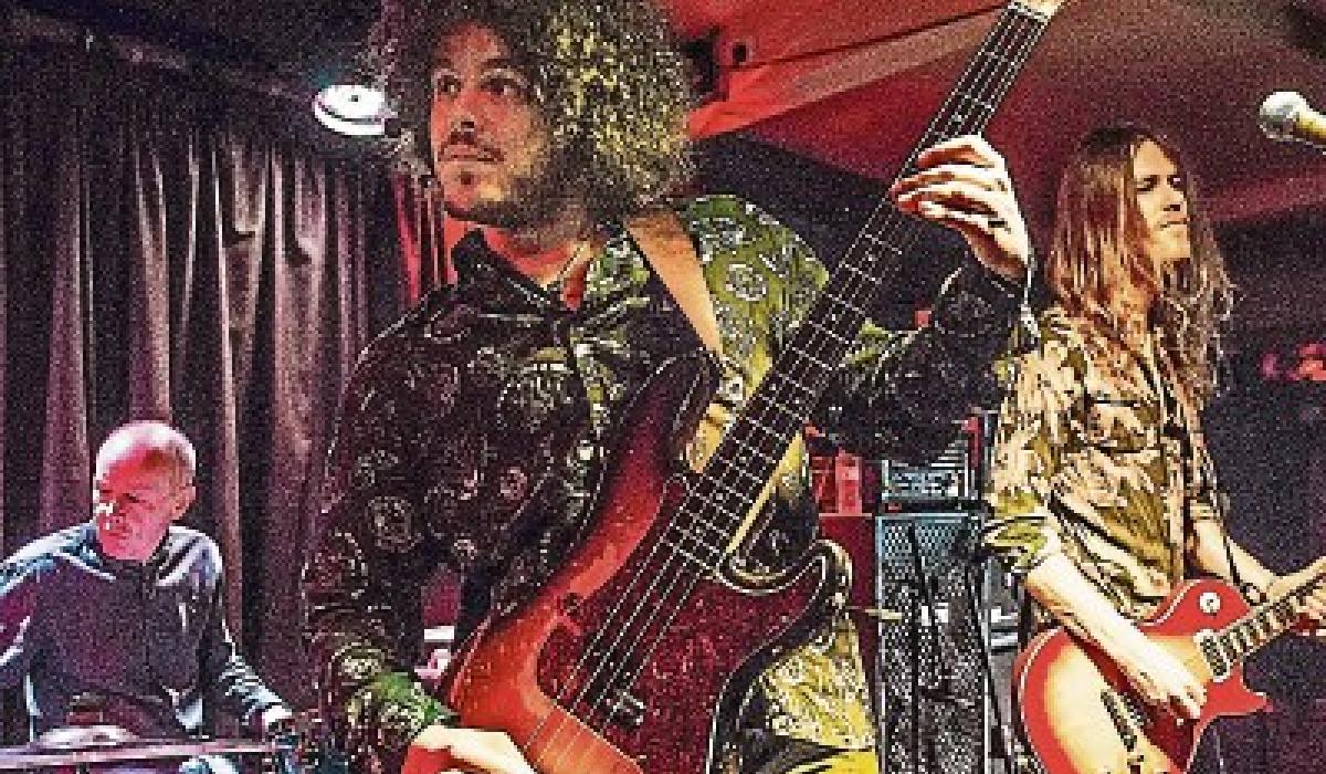 A strong and varied line-up for Summer Fest in Limerick village over ...