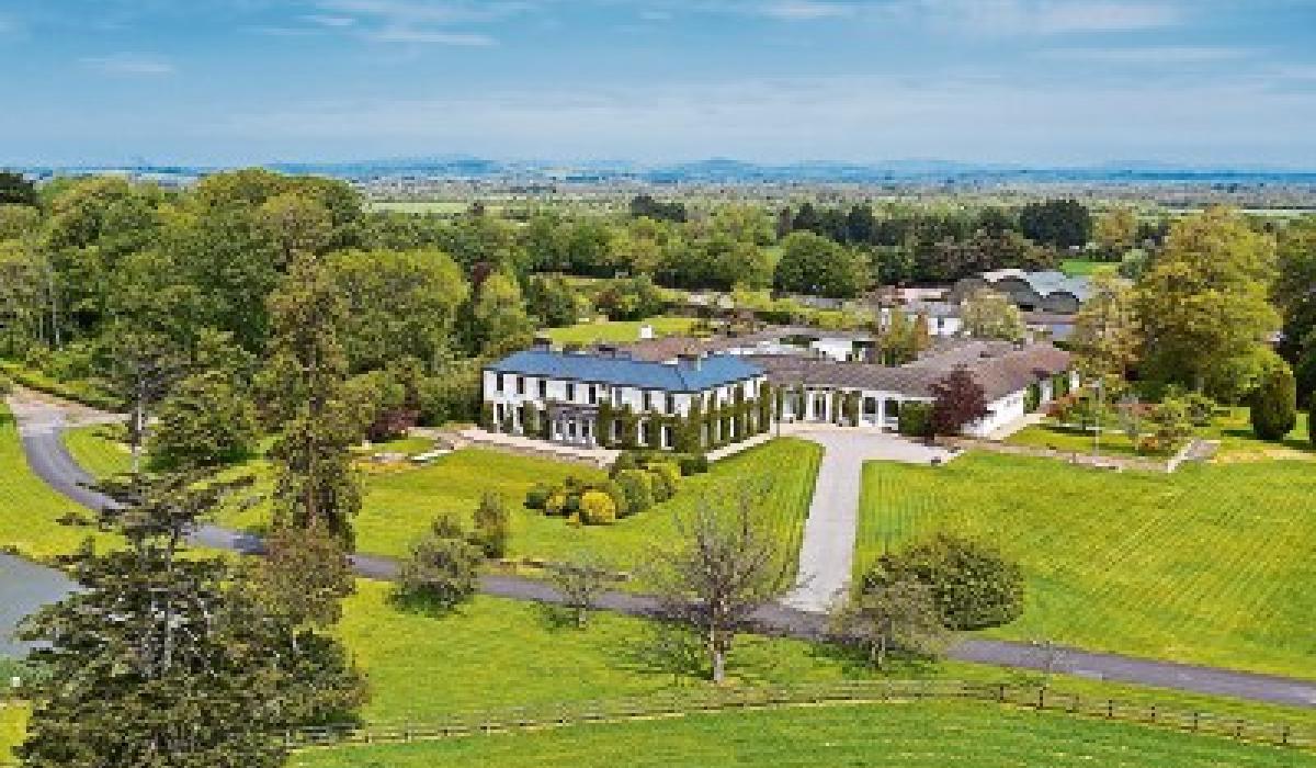 County Limerick stud farm continues to attract interest of ...