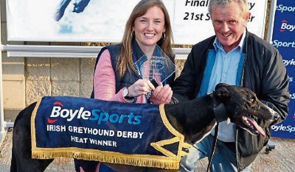 Limerick trio still standing in Irish Greyhound Derby - Limerick Live