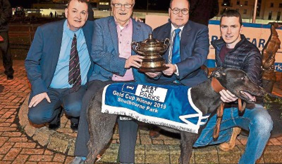 Bob Shanahan's Limerick syndicate into Irish Greyhound Derby semi final ...