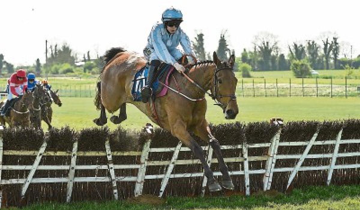 Betting: Plenty to like about Honeysuckle in the Hatton’s Grace - Colm ...