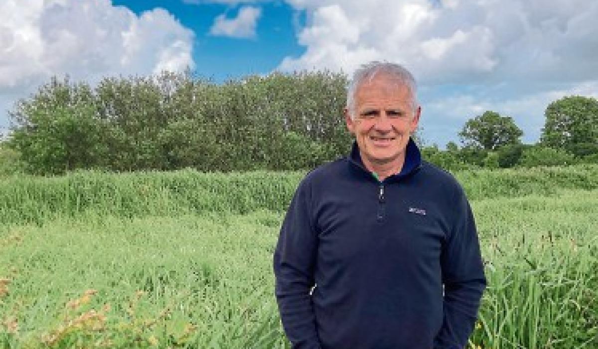 Limerick’s Sean farms for nature - Crecora man selected as agri ...