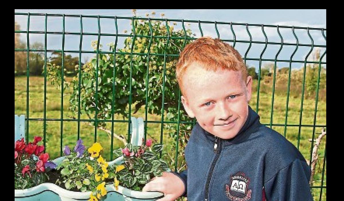 Schoolboy Dylan discovers new species for County Limerick! - Limerick Live