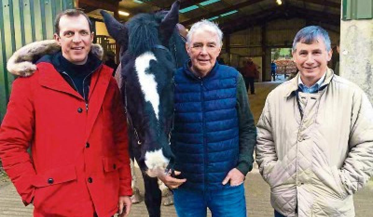 Limerick farm gets spotlight feature on RTE documentary - Limerick Live
