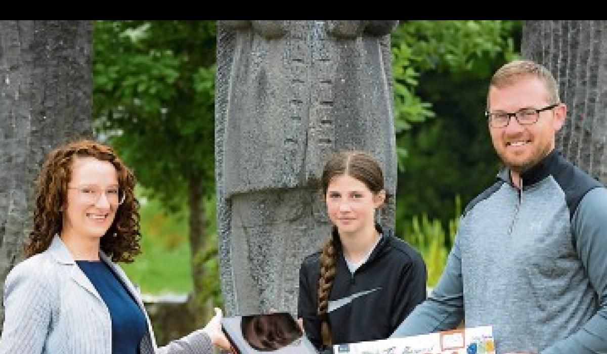 Poster designed by Limerick student wins national safety competition ...