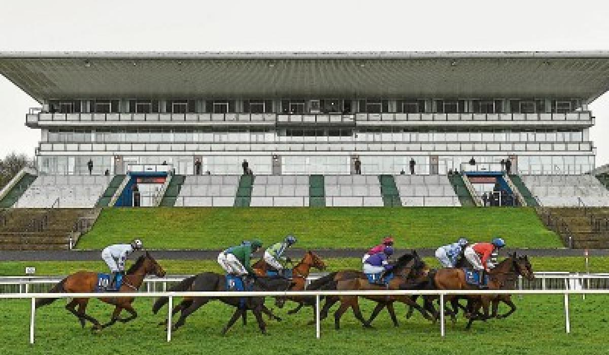Horse Racing returns to Limerick - Limerick Live