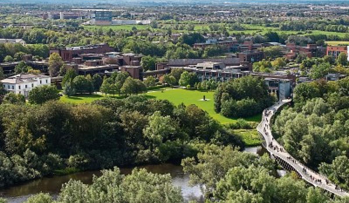 Covid frontline efforts to be credited for UL students - Limerick Live