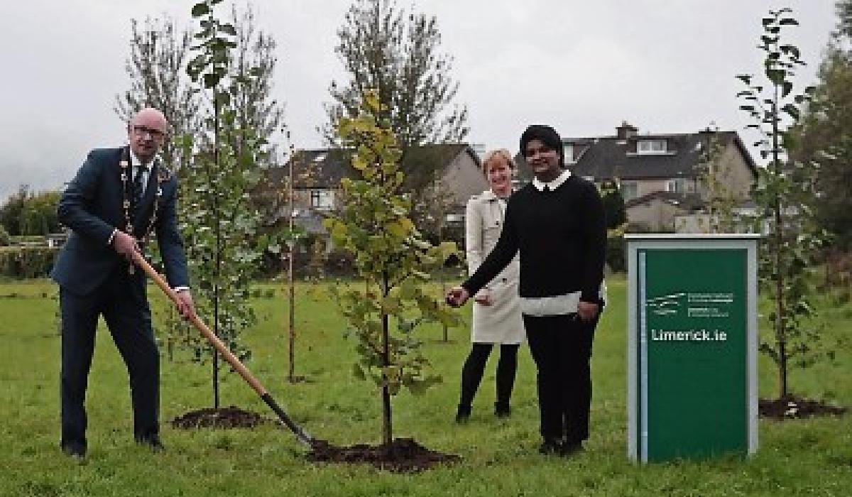 Tree planting initiative launched to make Limerick greener - Limerick Live