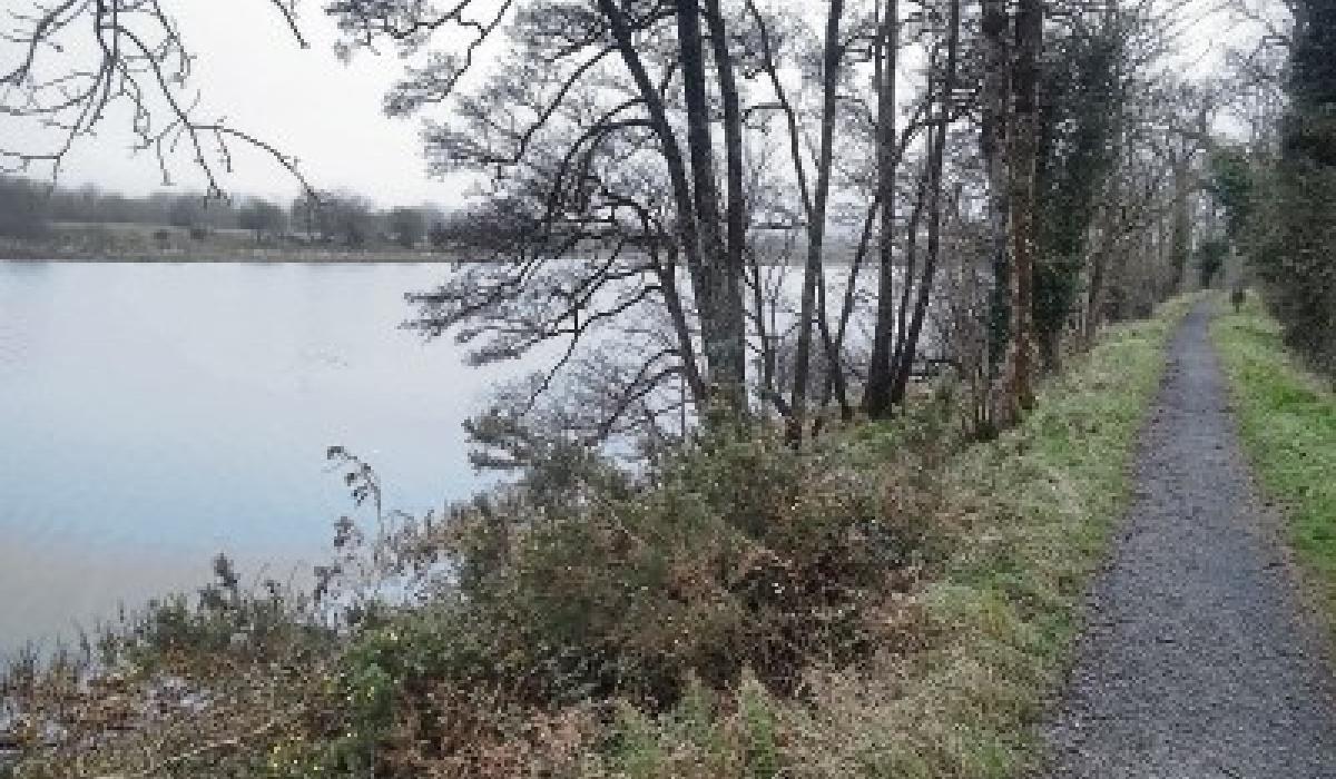 Wild About Wildlife: Exploring Parteen Weir - Limerick Live