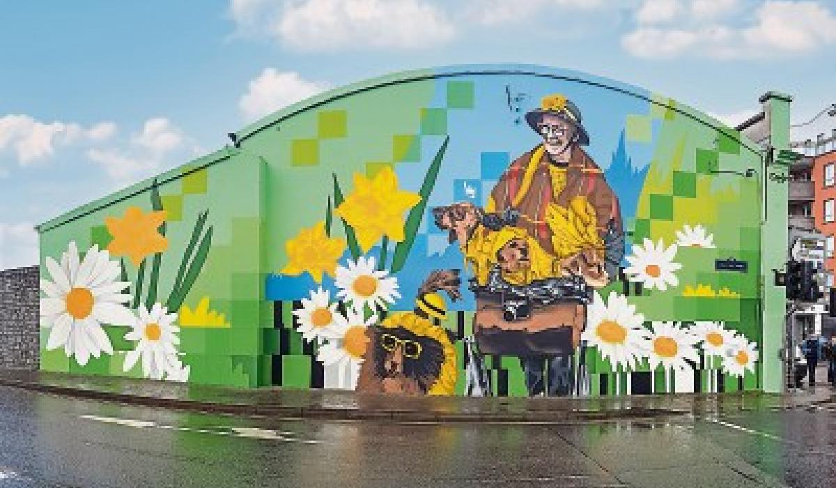 Limerick’s Dodo immortalised in ‘epic’ street mural - Limerick Live