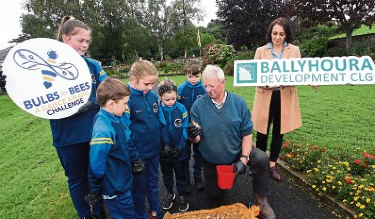 Light-bulb moment: Pollination project launched in Limerick village ...