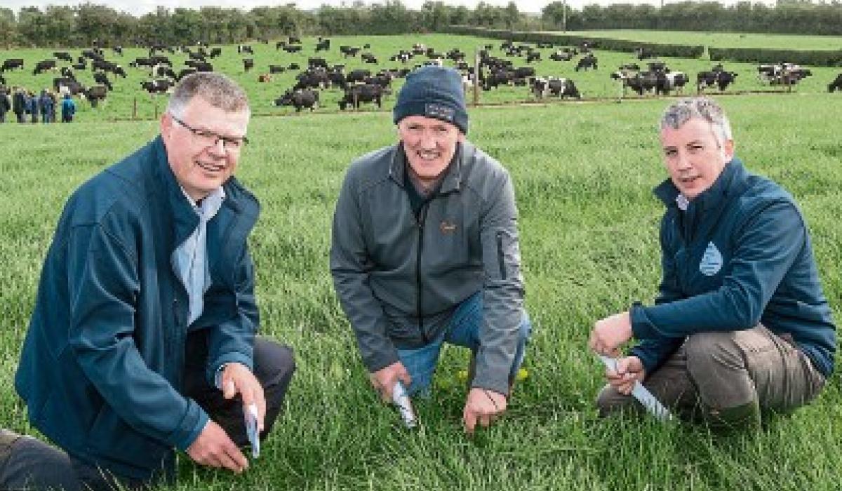 Signpost to Crecora: Limerick farm walk is a success - Limerick Live