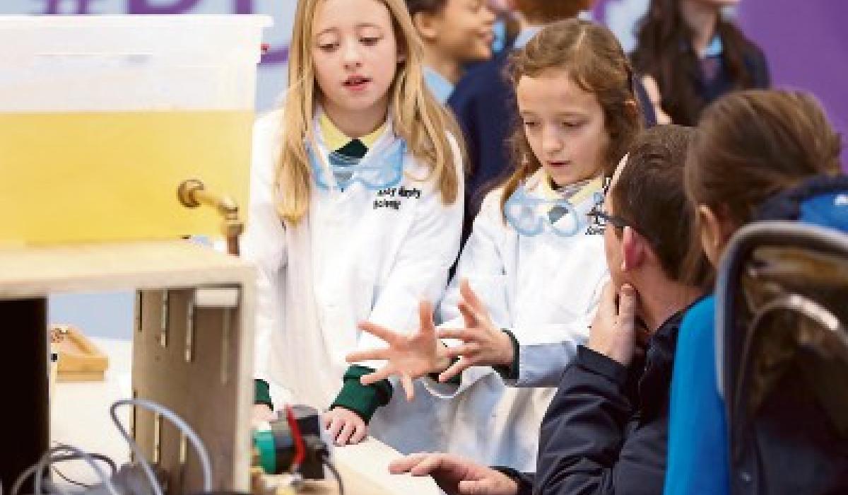 Limerick pupils showcase discoveries at science fair - Limerick Live