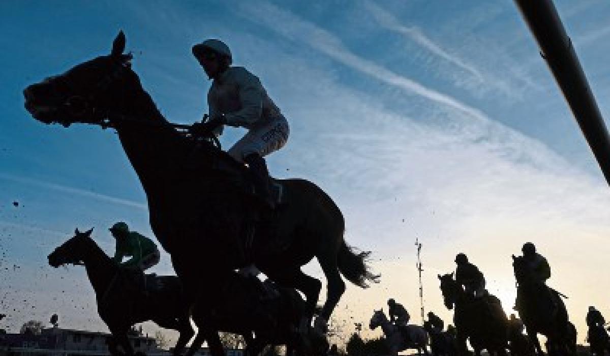 Limerick Racecourse stages three days of racing - Limerick Live