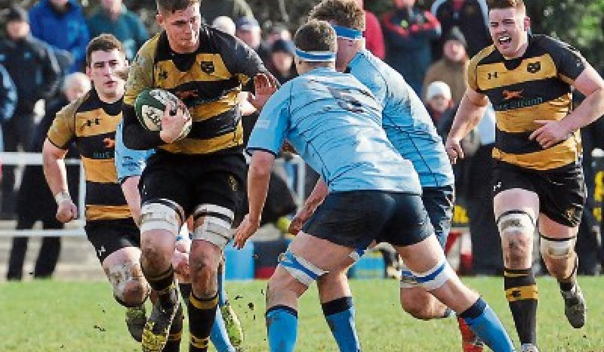 Limerick rugby players shortlisted for club awards - Limerick Live