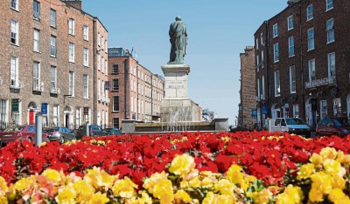 Limerick city in bloom with colourful floral displays - Limerick Live