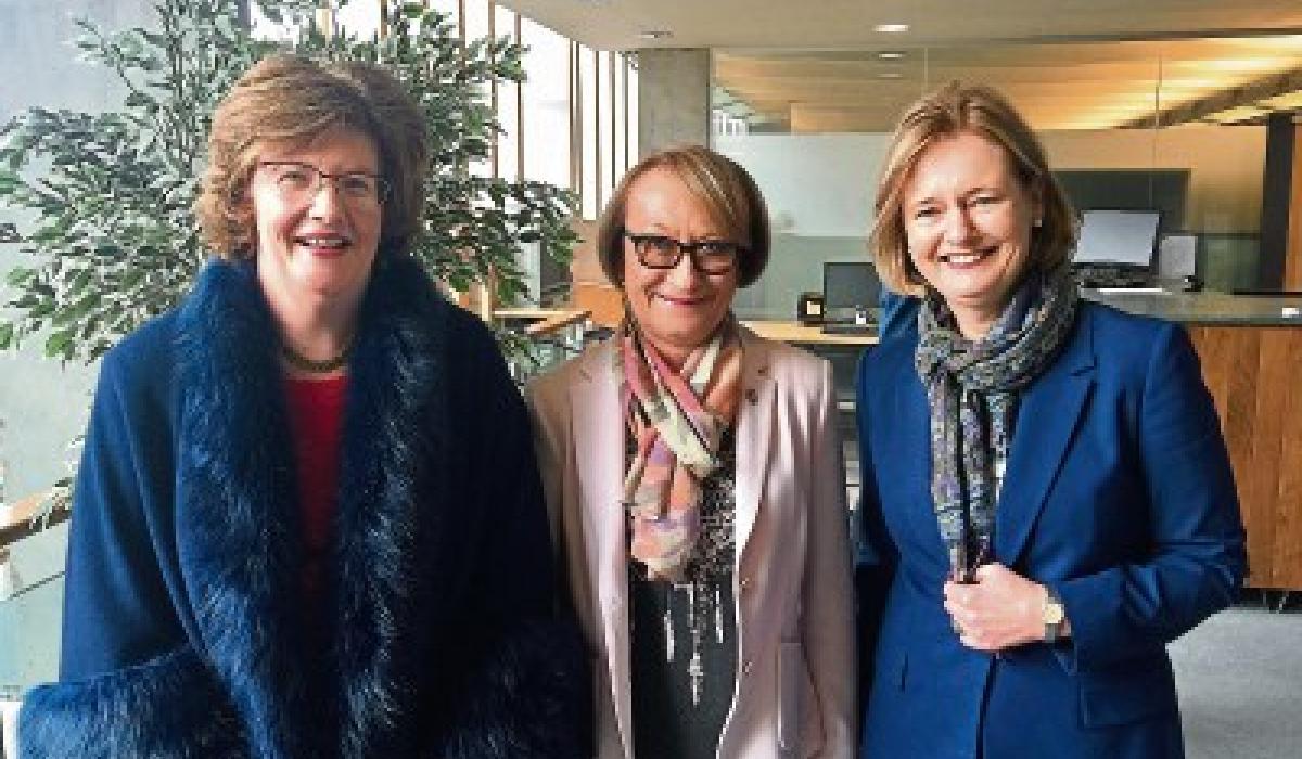 Fine Gael's Elenora Hogan formally co-opted onto Limerick City and ...