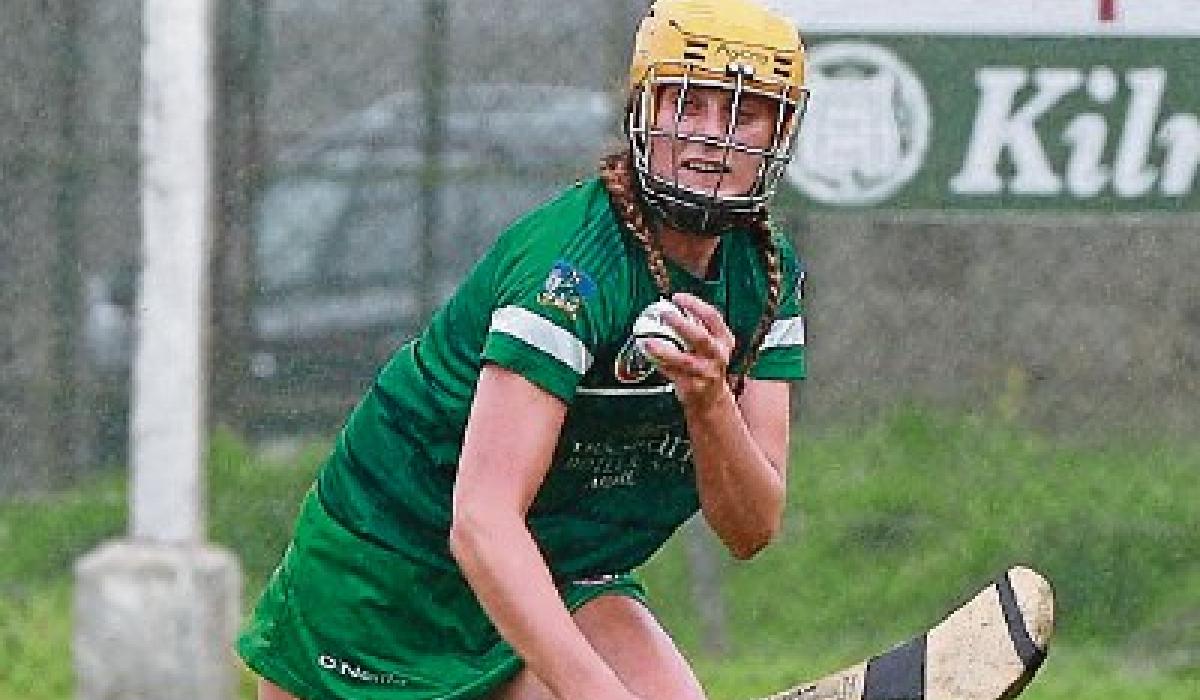 New Limerick camogie panel announced - Limerick Live