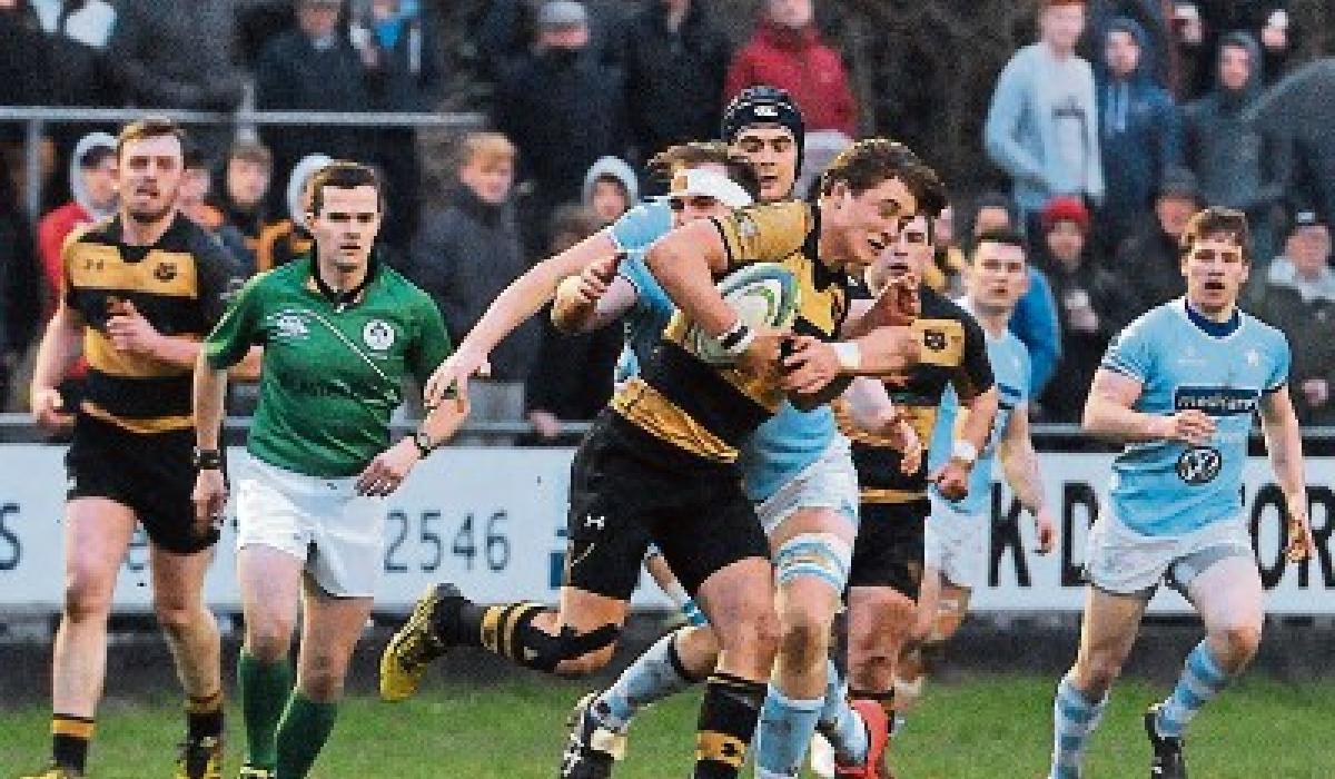 Two Limerick derbies top AIL fixture list - Limerick Live