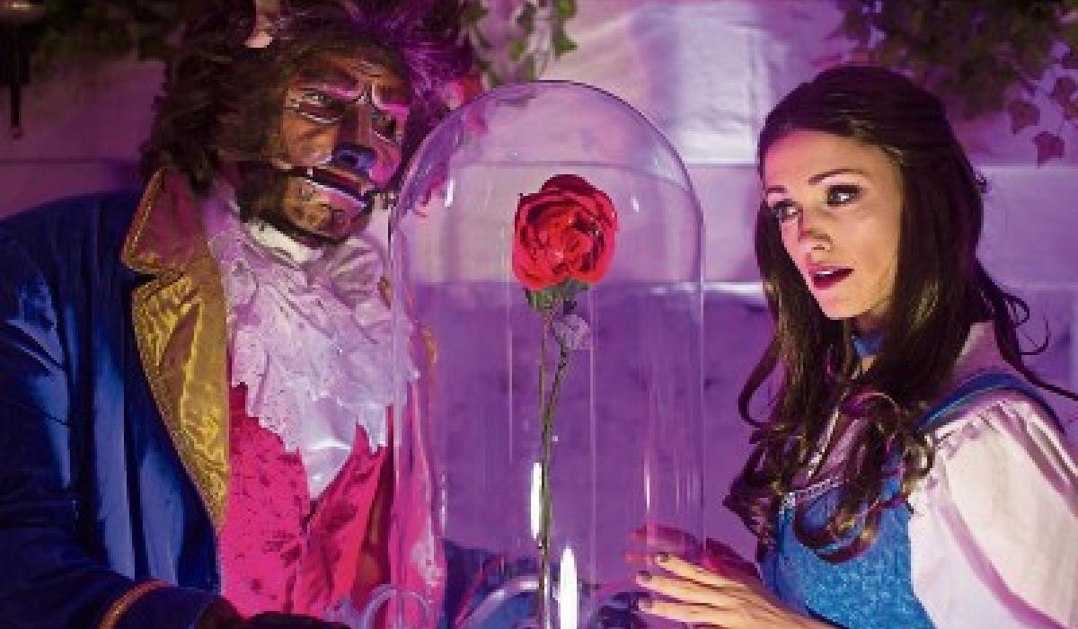 Leanne Moore is Belle of the ball at University Concert Hall - Limerick ...