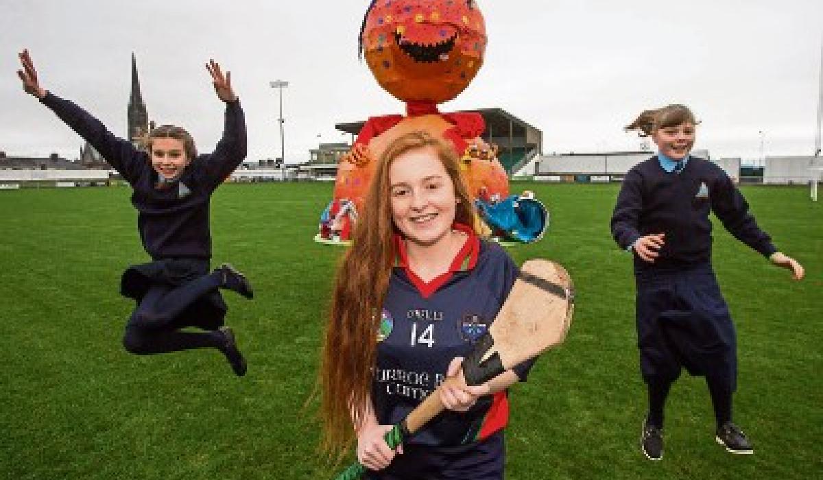 Countdown begins as 'monster' Team Limerick Clean-Up returns - Limerick ...