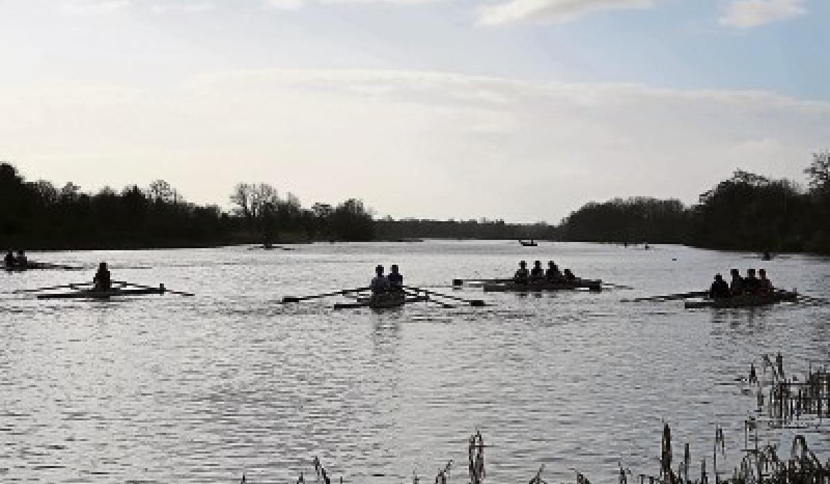 Limerick rowing club St Michaels hosts Head of River event - Limerick Live