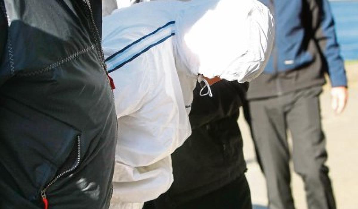 Limerick man facing retrial for tiger kidnapping after successful ...