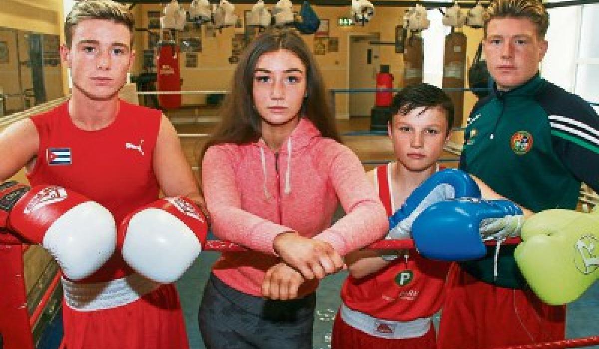 Limerick boxing club given the count from city gym by Dominicans ...