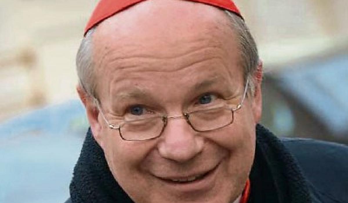 Cardinal tipped to be next Pope to speak at Limerick conference ...