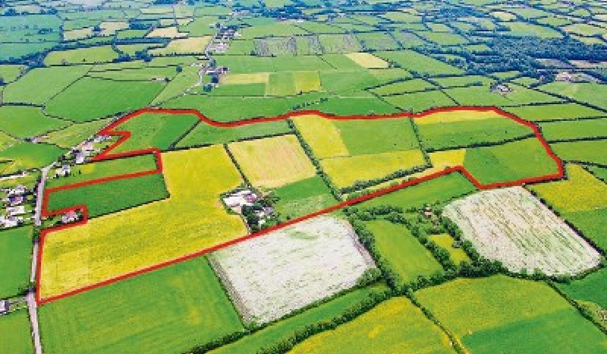 Huge interest in auction of prime Limerick farm - Limerick Live
