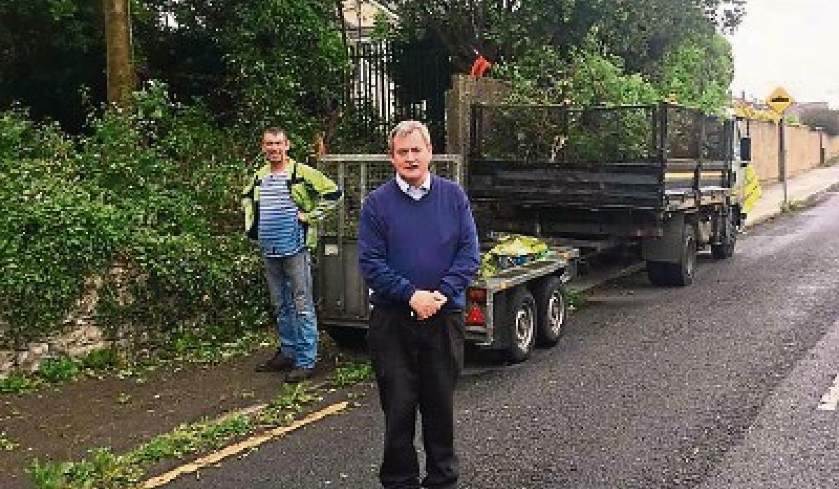 Clearance of Limerick field acting as 'shelter' to help reduce anti ...