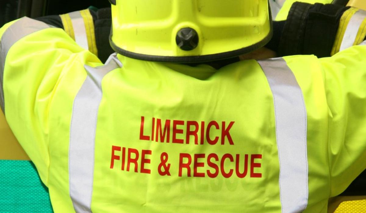 Limerick boxer jumps into river to help young woman - Limerick Live