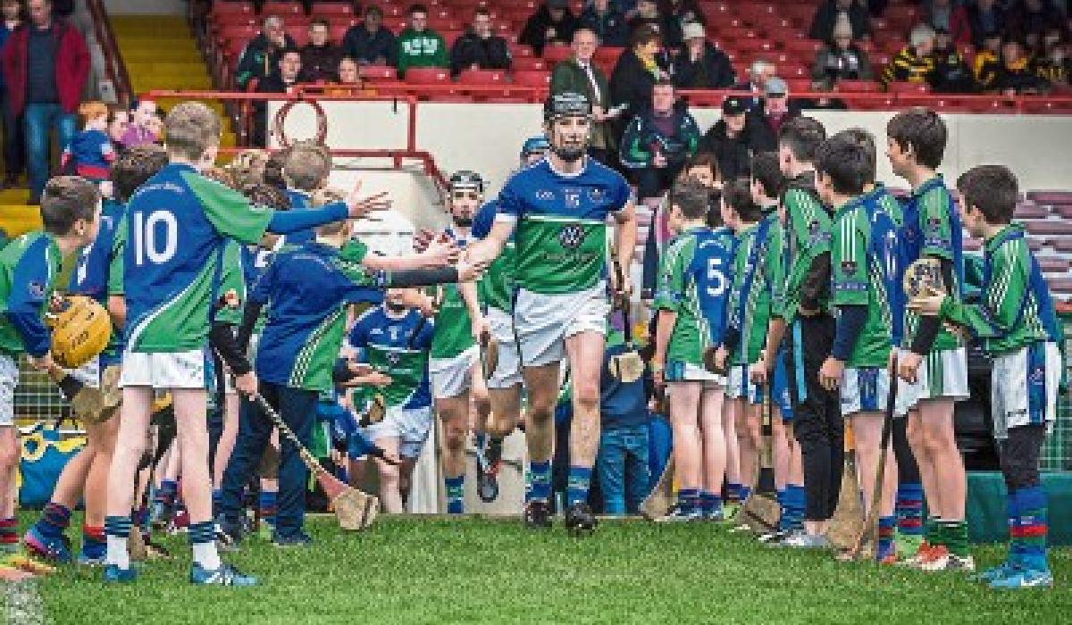 Tobin brothers inspire Murroe-Boher to Limerick Premier IHC title in ...