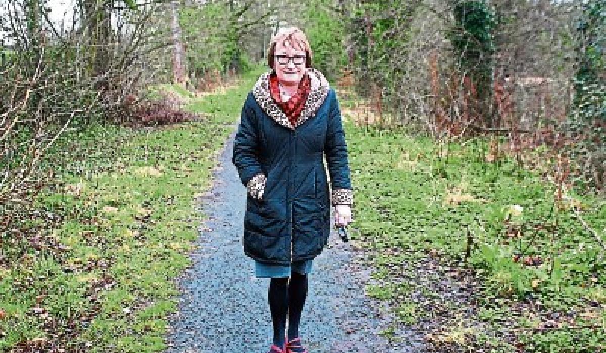 Councillor seeks €25,000 investment in Limerick's Baggott Estate ...