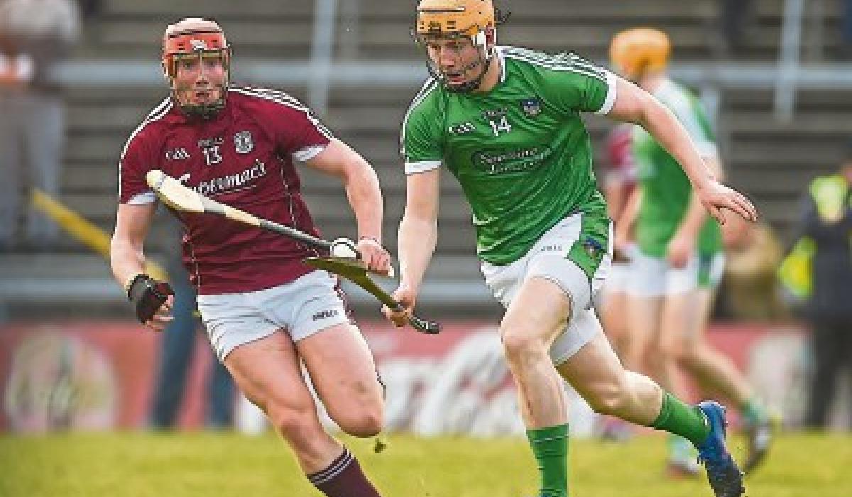 WATCH: Sensational Limerick secure hurling league promotion with Galway ...