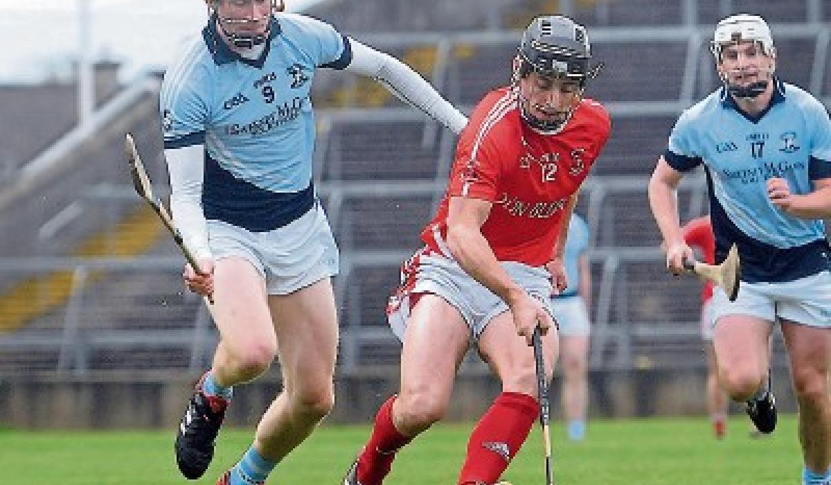 LeaderSport Limerick SHC Team of the Week - Limerick Live