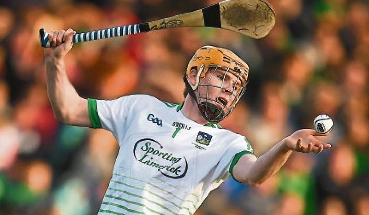 Limerick finalise U-21 hurling panel with double All Ireland winner ...