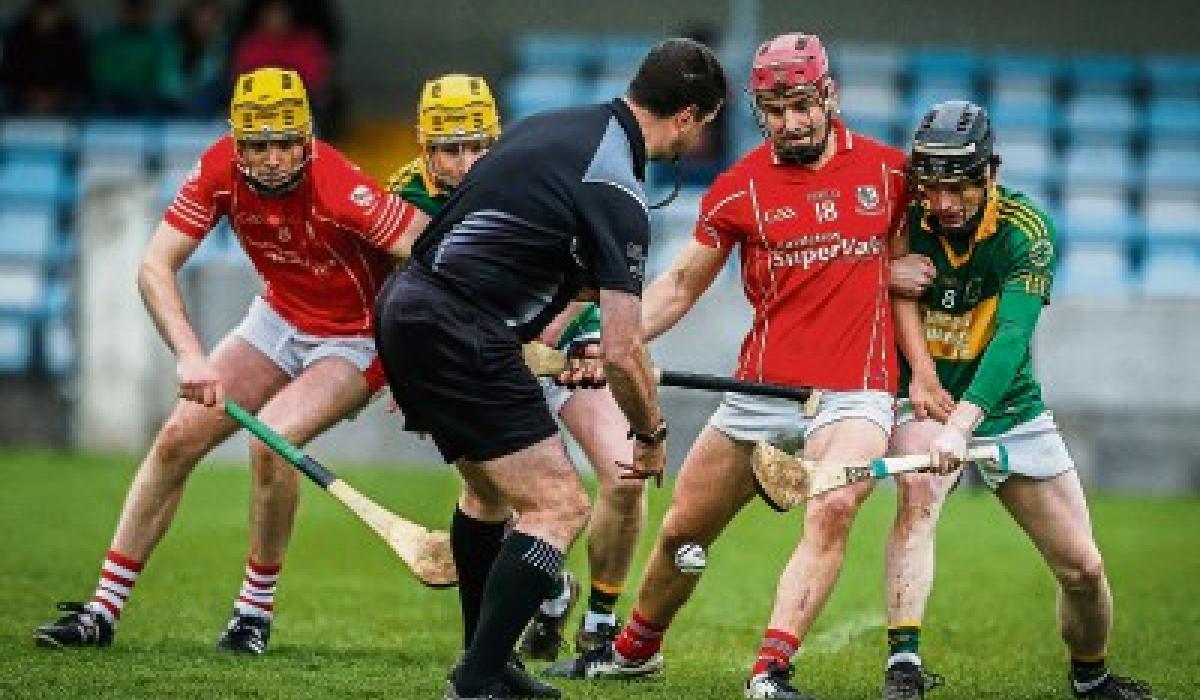 LeaderSport Limerick SHC Team of the Week - Limerick Live